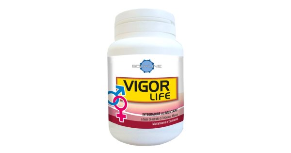 VIGOR LIFE 40CPS